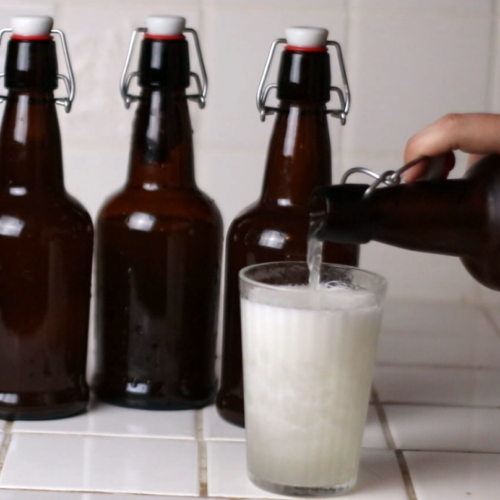 Easy to Make Probiotic Ginger Beer From Scratch - Spindle and Spoon ...
