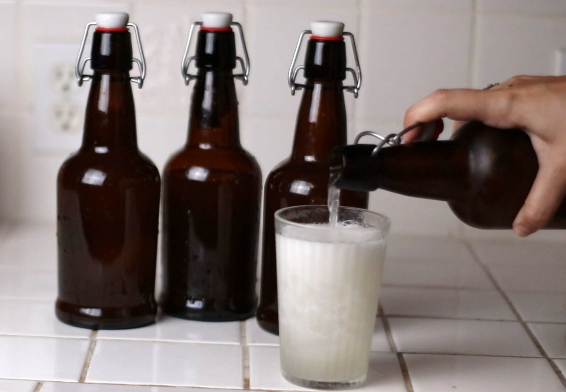 Easy to Make Probiotic Ginger Beer From Scratch - Spindle and Spoon ...