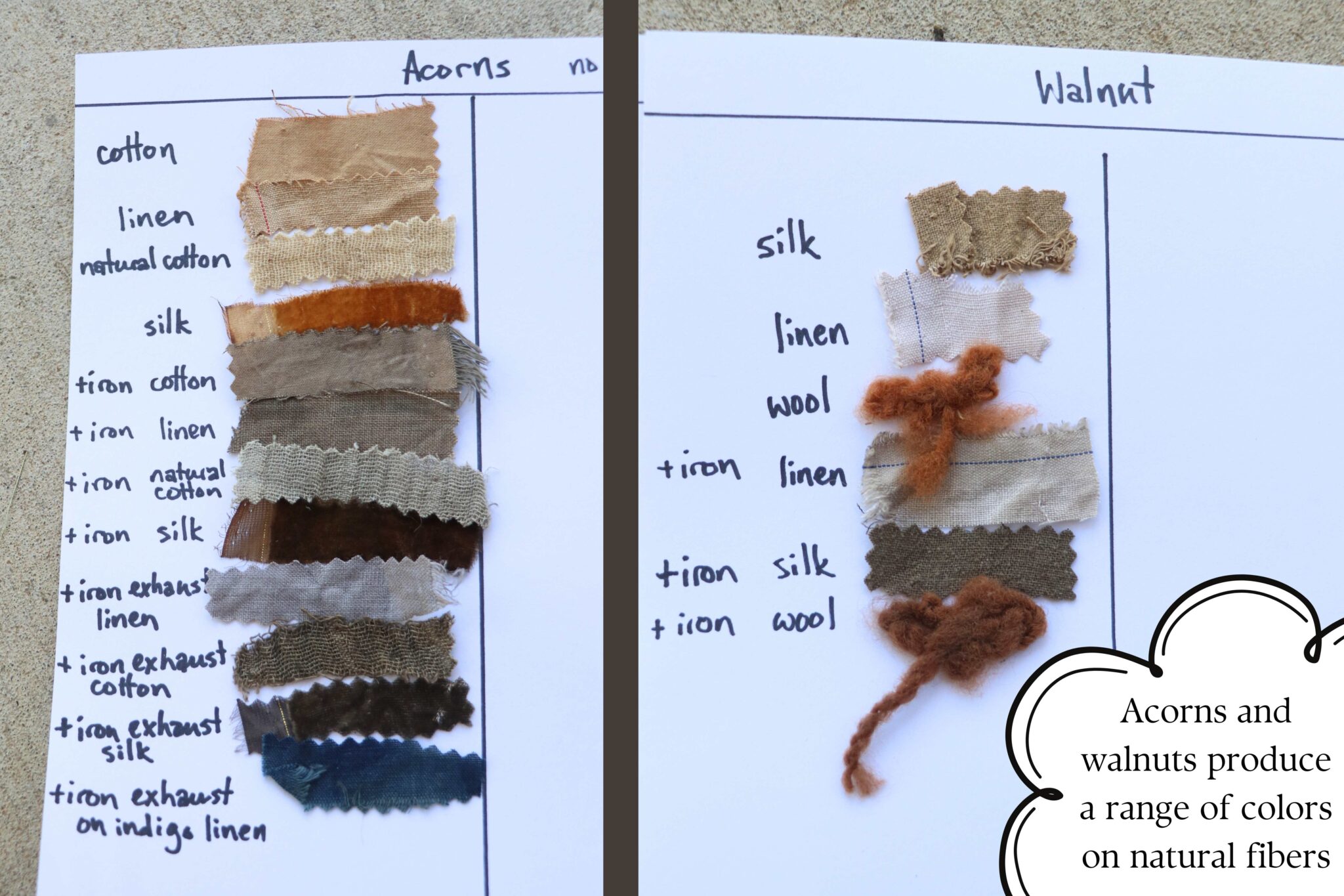 Best Natural Dye Books for Curious Fiber Artists - Spindle and Spoon ...
