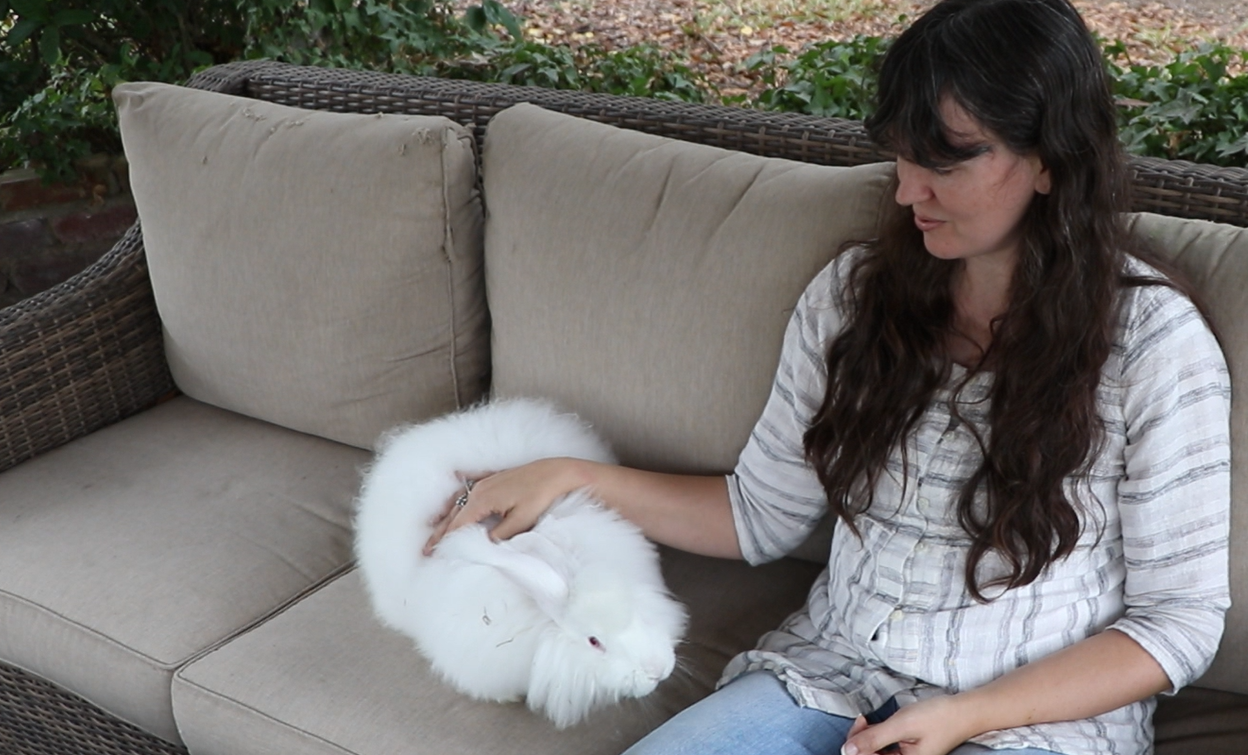 My New Giant Angora Rabbits - Spindle and Spoon Homestead