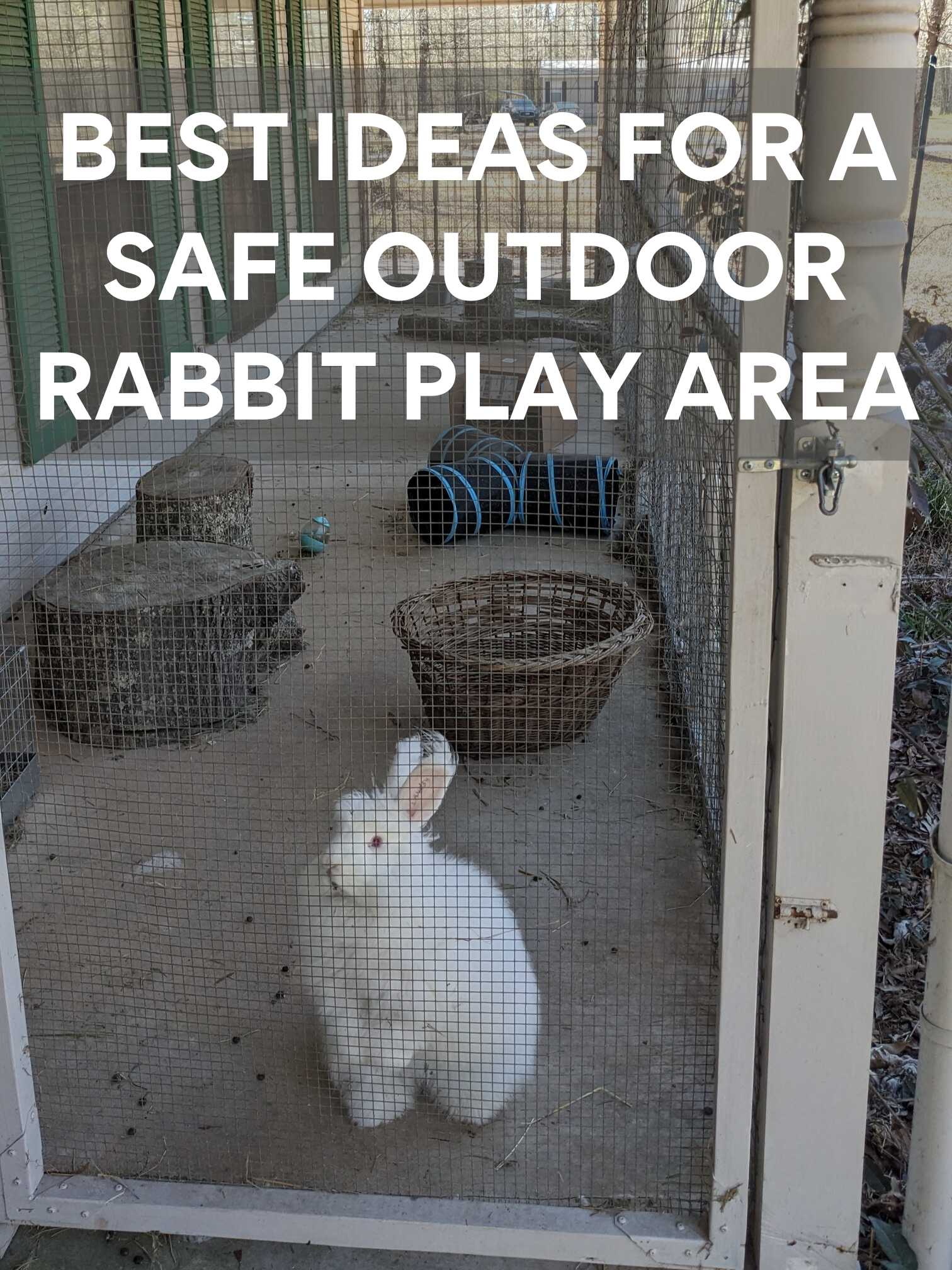 Best Ideas for a Safe Outdoor Rabbit Play Area - Spindle and Spoon ...