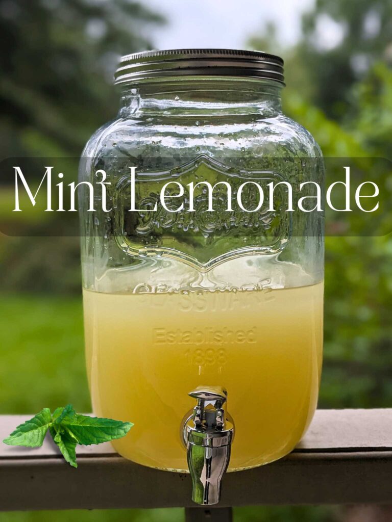 Fresh Mint Lemonade -Cooking with Backyard Mint - Spindle and Spoon Homestead